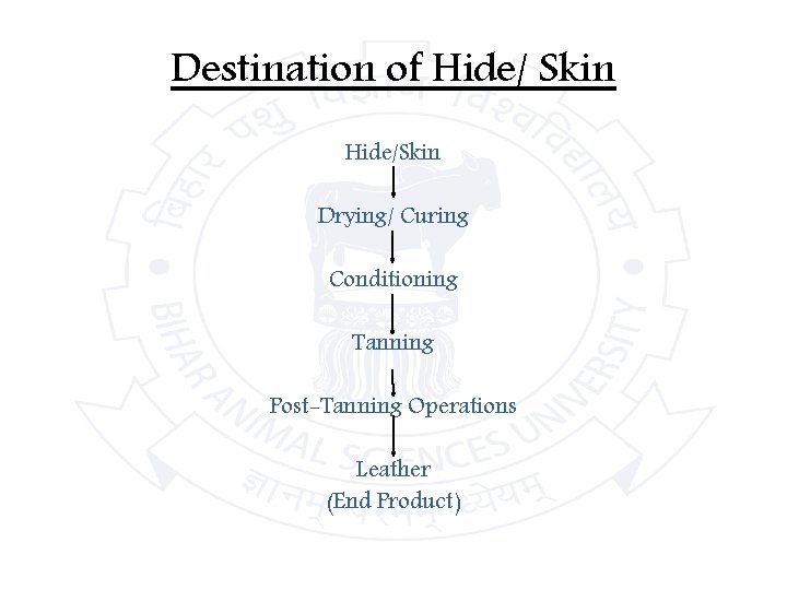 Skin and Hides A part of Unit III