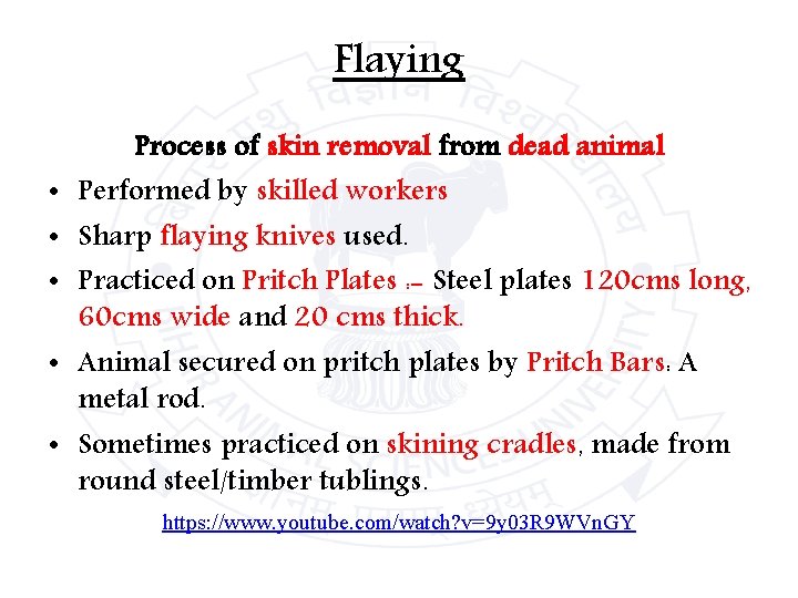 Skin and Hides A part of Unit III