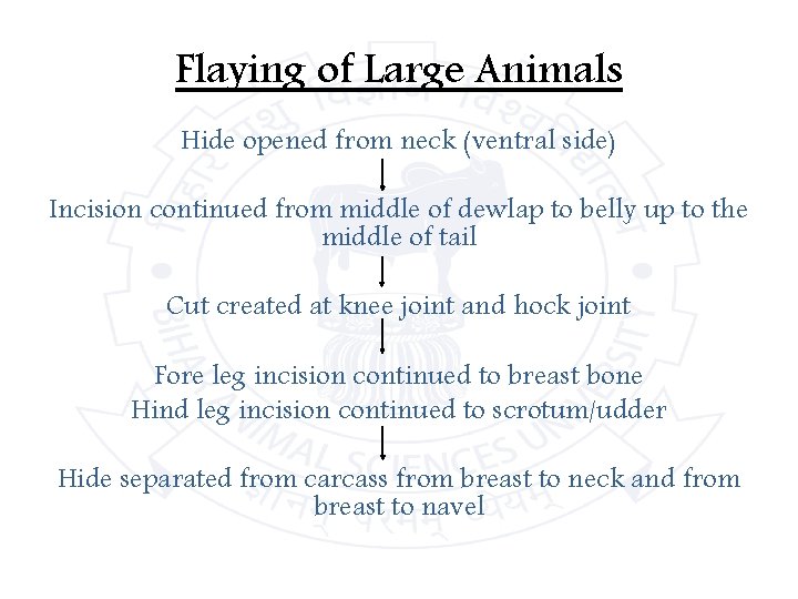 Skin and Hides A part of Unit III