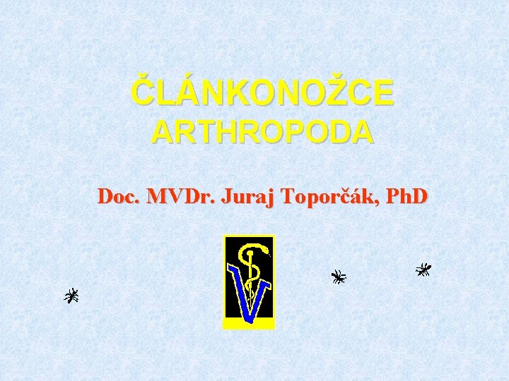 LNKONOCE ARTHROPODA Doc MVDr Juraj Topork Ph D