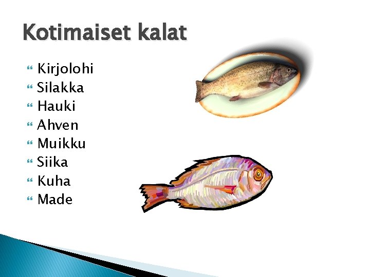 Kotimaiset kalat Kirjolohi Silakka Hauki Ahven Muikku Siika