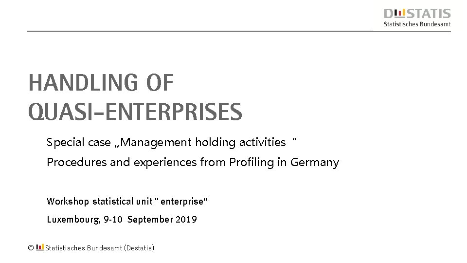 www destatis de Handling of quasienterprises Special case