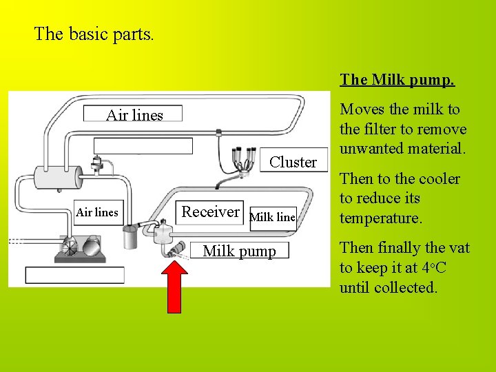 Milking machine design Y 10 Agriculture The basic