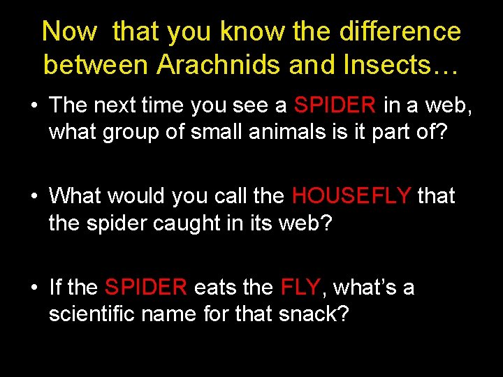 Amazing Arachnids An Integrated Curricular Unit For Grades