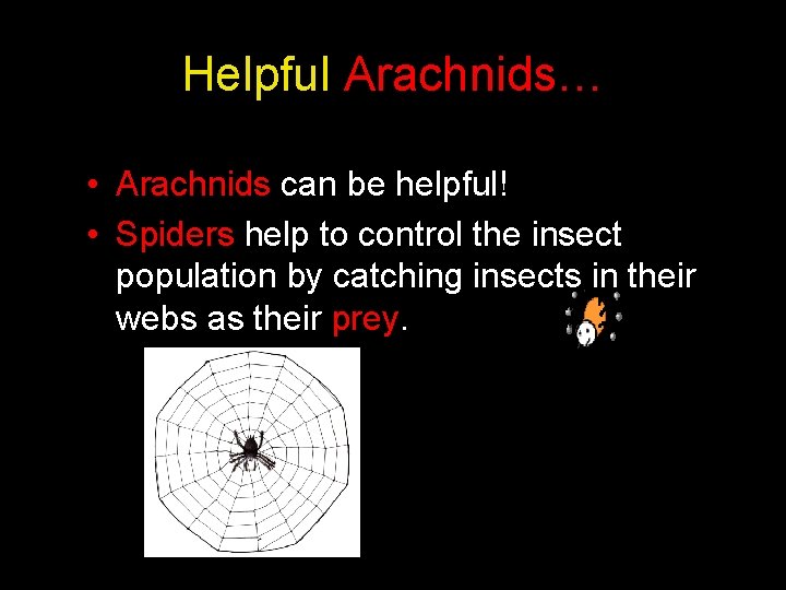Amazing Arachnids An Integrated Curricular Unit For Grades