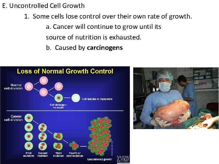 Cell Division and Protein Synthesis Ch 3 Part
