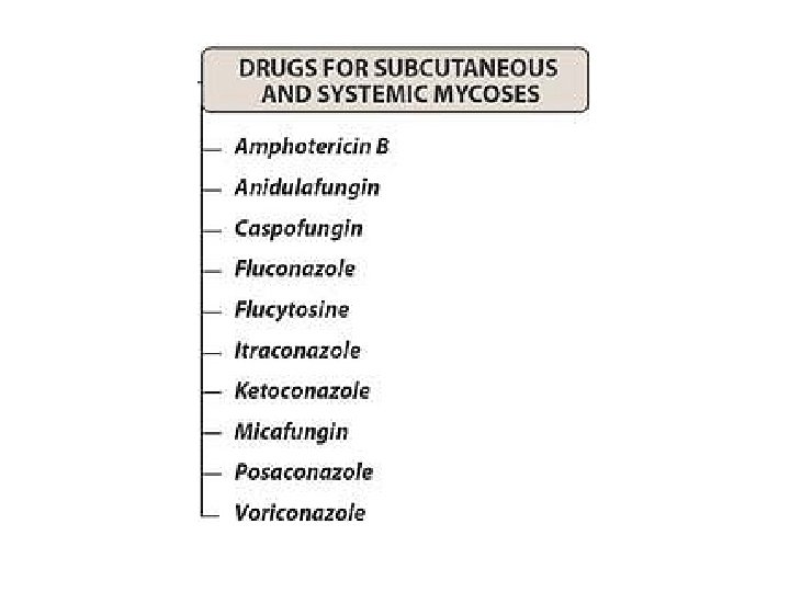 Antifungal Drugs Course Coordinator Jamaluddin Shaikh Ph D