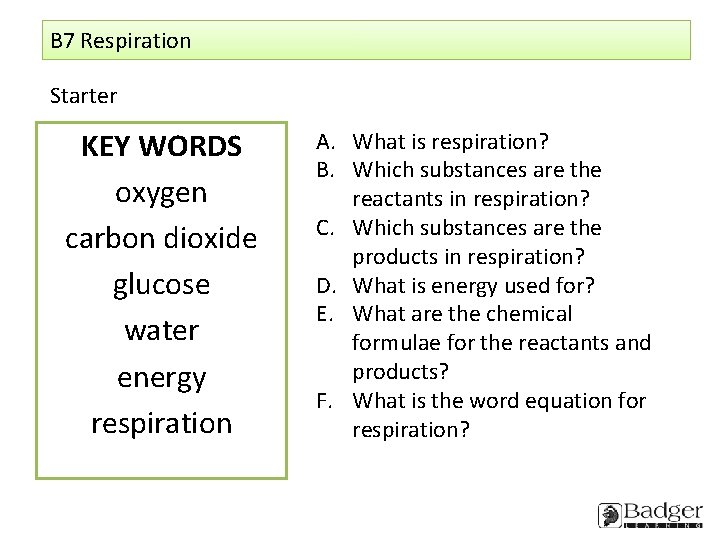B 7 Respiration Task Draw a diagram that