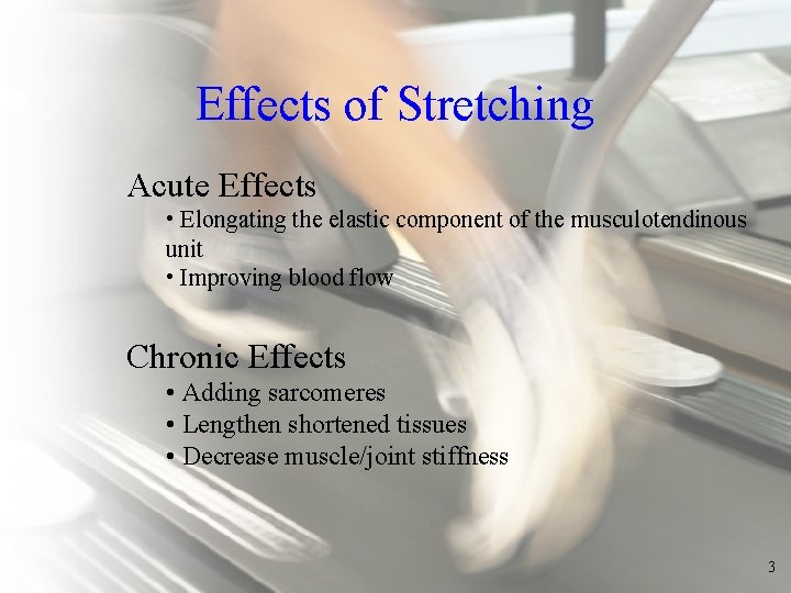 Dynamic Stretching 1 Objectives Discuss the different ...
