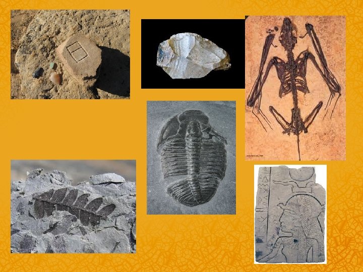 What is Archaeology Written by Lin Donn Illustrated