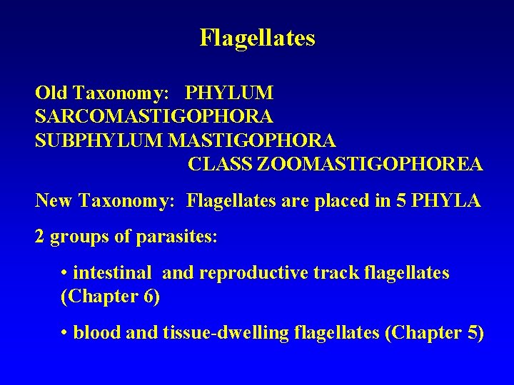 Flagellates Old Taxonomy PHYLUM SARCOMASTIGOPHORA SUBPHYLUM ...