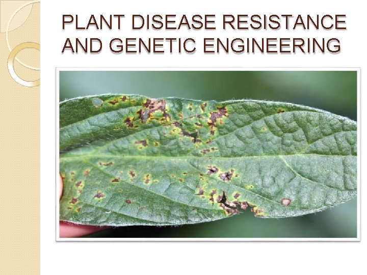 Genetic Engineering PLANT DISEASE RESISTANCE AND GENETIC ENGINEERING