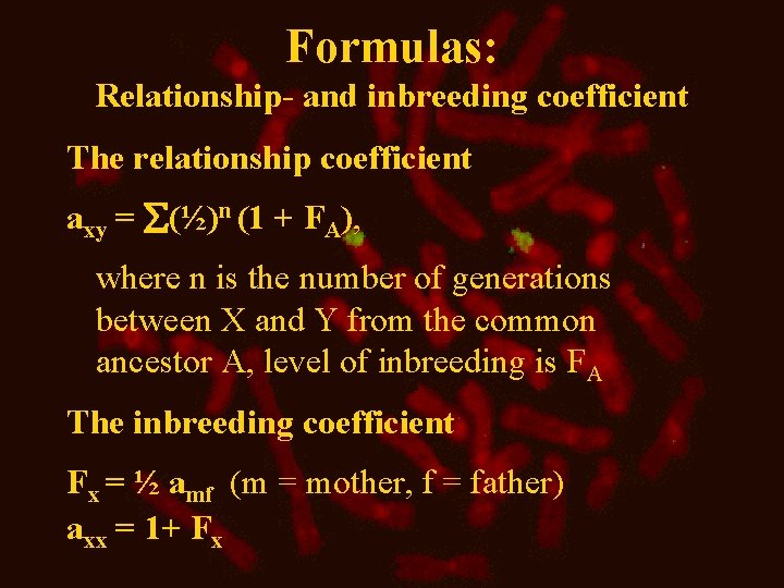 Chapter 4 Relationship and inbreeding Definitions Calculation of