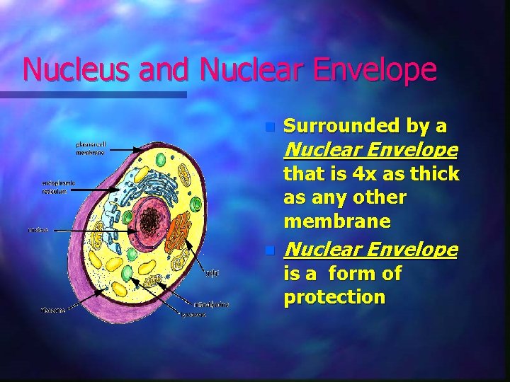 Cells and their Organelles Objectives History of a