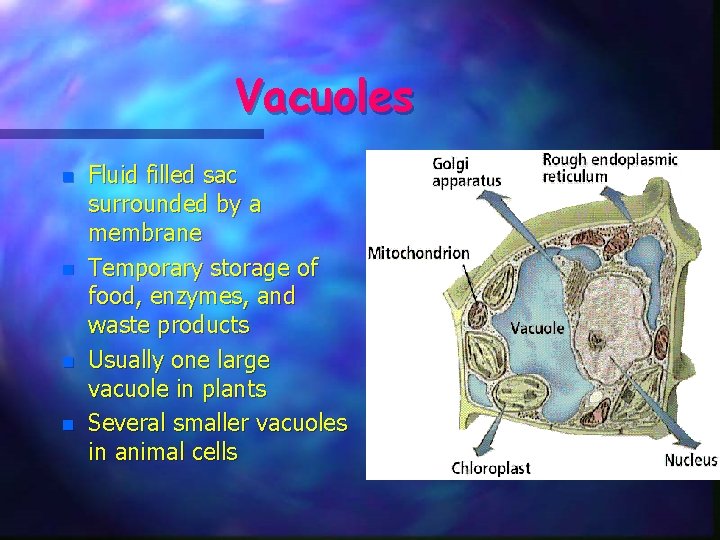 Cells and their Organelles Objectives History of a