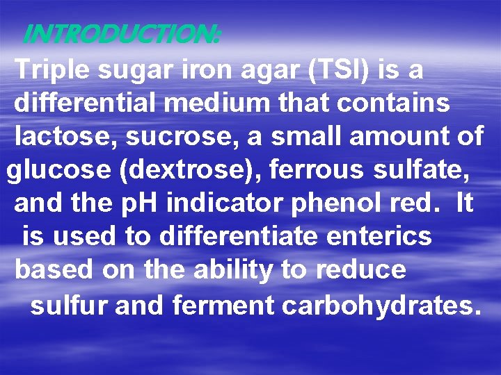TRIPLE SUGAR IRON AGAR PREPARED BY GHASSAN ABU