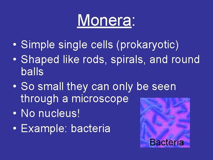 Five Kingdoms of Living Things Created by Stella