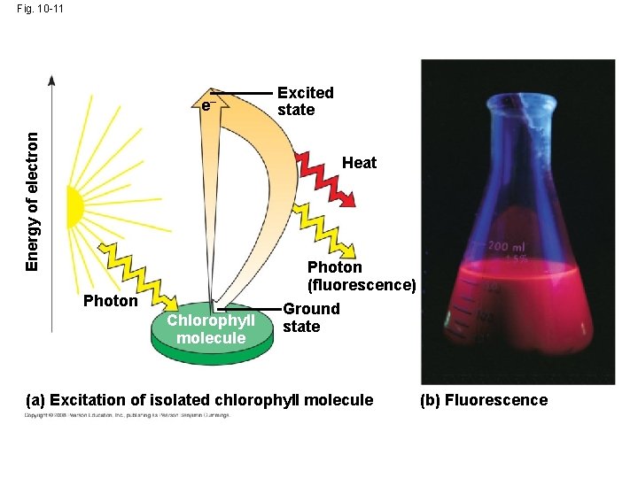Fig 10 11 Energy of electron e Excited
