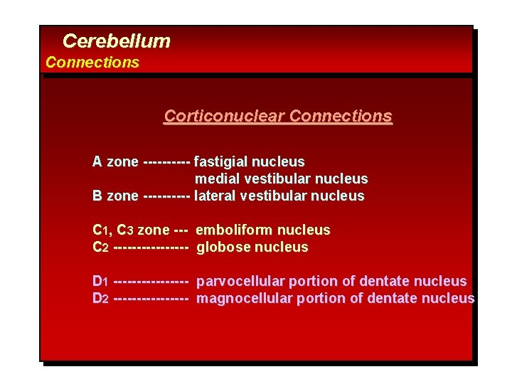 Cerebellum External Configurations located in posterior cranial fossa