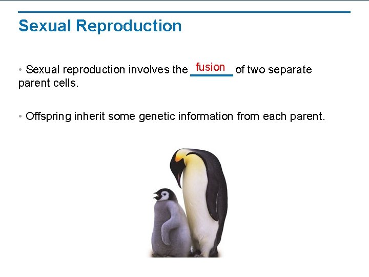 Cell Growth Division and Reproduction Learning Objectives Explain