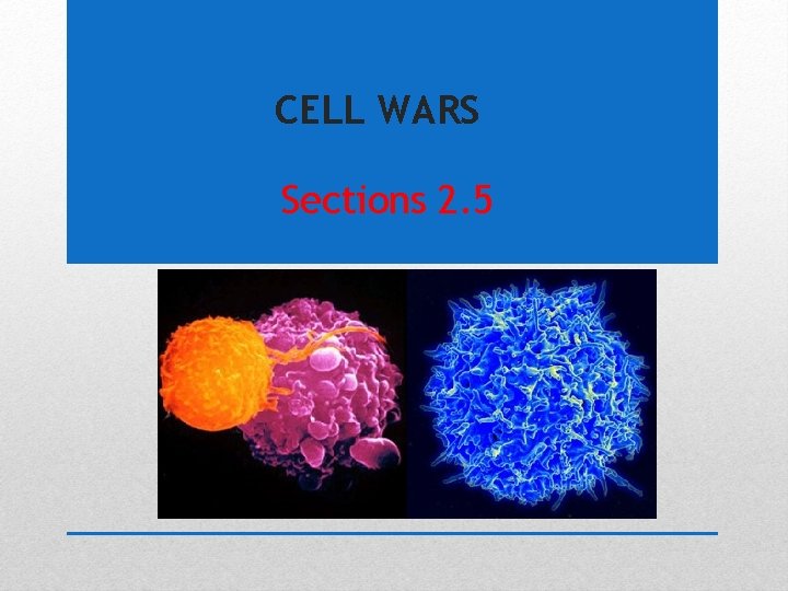 CELL WARS Sections 2 5 DISEASE Gum Disease