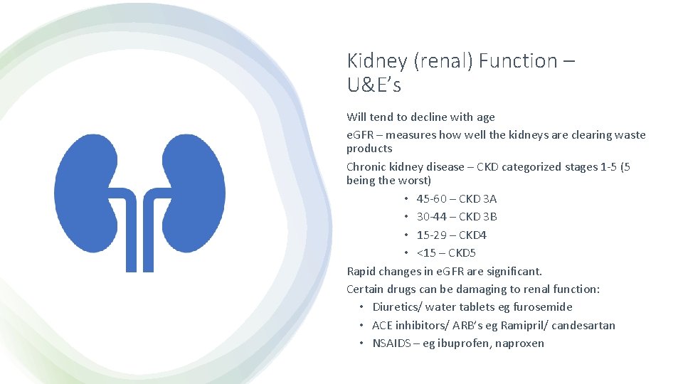 Dr Gill Burrows Dr Karen Mc Ewan Management