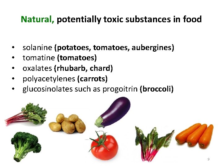 The Global Harmonization Initiative GHI Food safety regulations