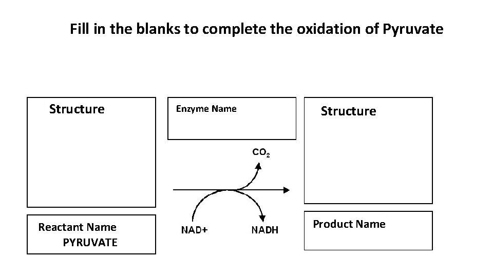 The overall equation for the aerobic breakdown of