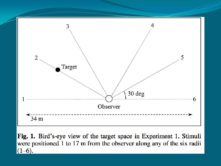 The Role of Effort in Perceiving Distance Proffitt