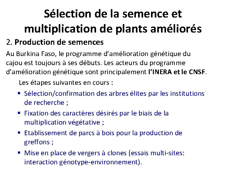 Slection de la semence et multiplication de plants
