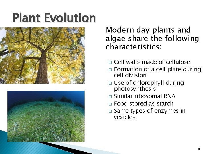 Chapter 21 Plant evolution and adaptations Section 1