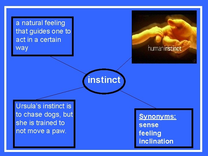 Moms Best Friend Author Sally Hobart Alexander Vocabulary