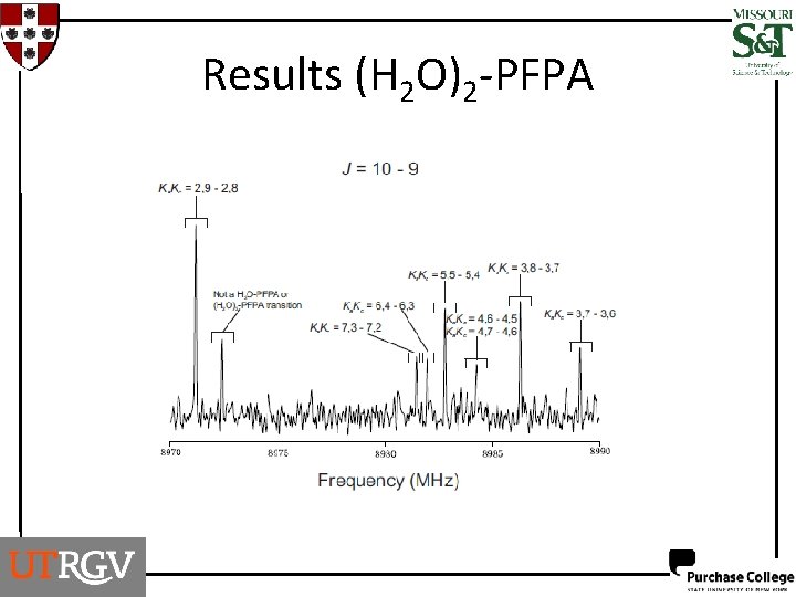 THE CPFTMW SPECTROSCOPY AND ASSIGNMENT OF THE MONO