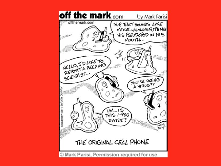 What Is A Protist Protist means the very