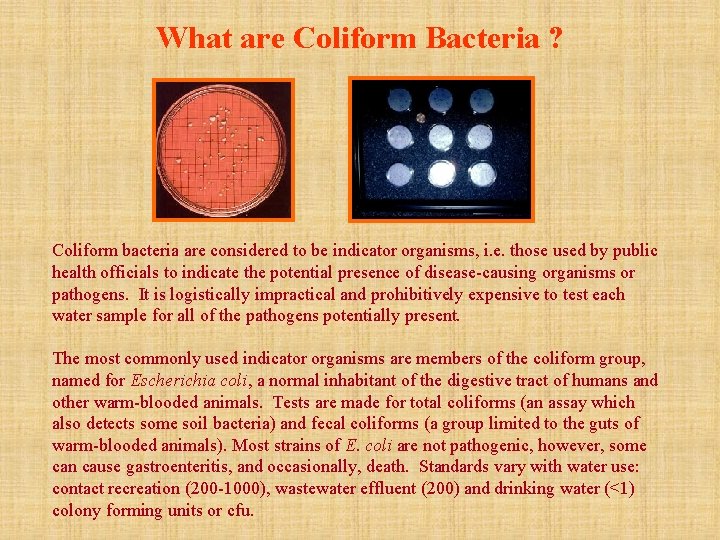 Modeling Fecal Coliform Bacteria Dynamics in Onondaga Lake