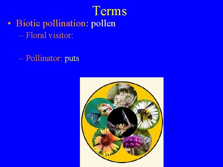 Ch 7 Plant Growth and Reproduction Pollination Why