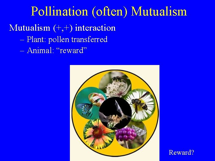 Ch 7 Plant Growth and Reproduction Pollination Why