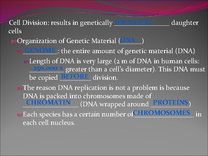 Ch 12 The Cell Cycle Mitosis What did