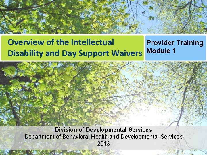 Overview of the Intellectual Disability and Day Support