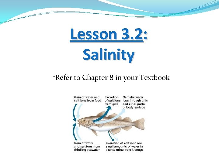 Lesson 3 2 Salinity Refer to Chapter 8