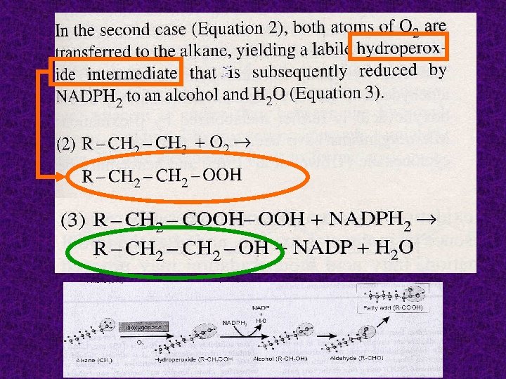 The initial oxidation step of saturated aliphatic hydrocarbons