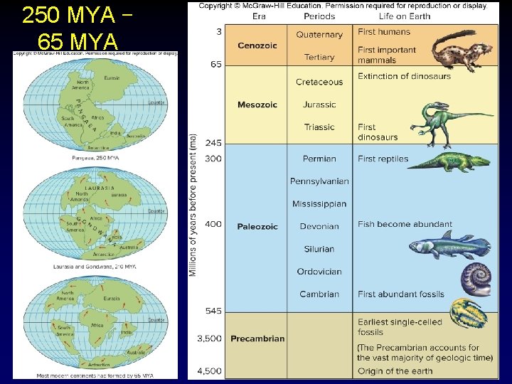 Aim How can we explain Plate Tectonics the