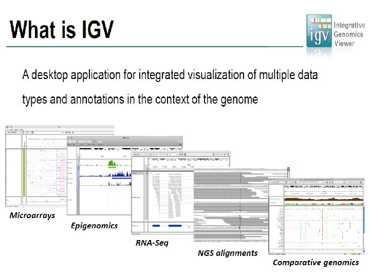 IGV tools Pipeline Download genome from Ensembl bacteria