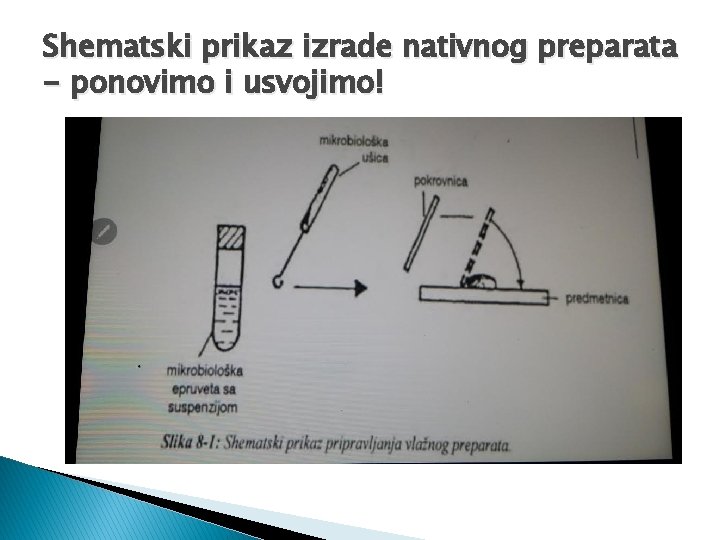 LABORATORIJSKA DIJAGNOSTIKA INFEKCIJA UZROKOVANIH SA PARAZITIMA predmet ...