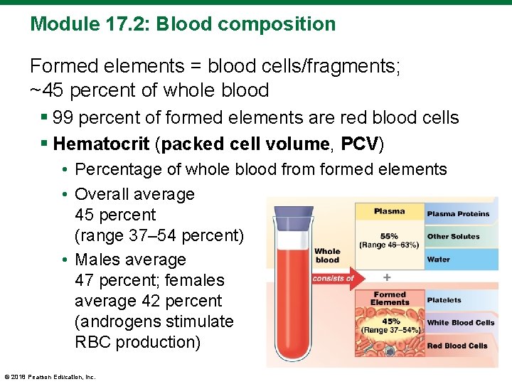 17 Blood Lecture Presentation by Lori Garrett 2018