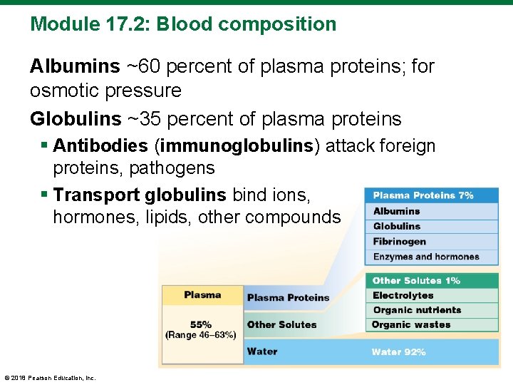 17 Blood Lecture Presentation by Lori Garrett 2018