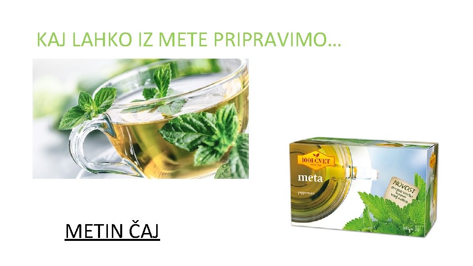 META KAKO IZGLEDA CVET LIST STEBLO KAJ JE