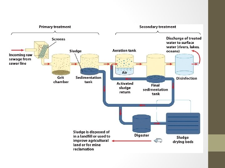 Water Pollution and Treatment Unit 5 AP Environmental