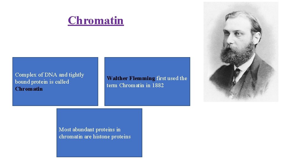 Dr Abdul Qayyum Rao Associate Professor CEMB PU