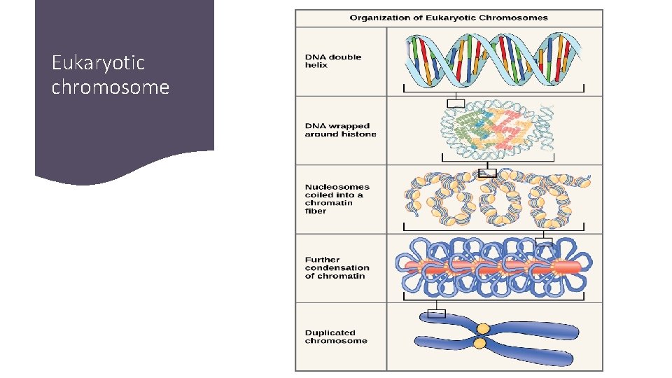 Dr Abdul Qayyum Rao Associate Professor CEMB PU